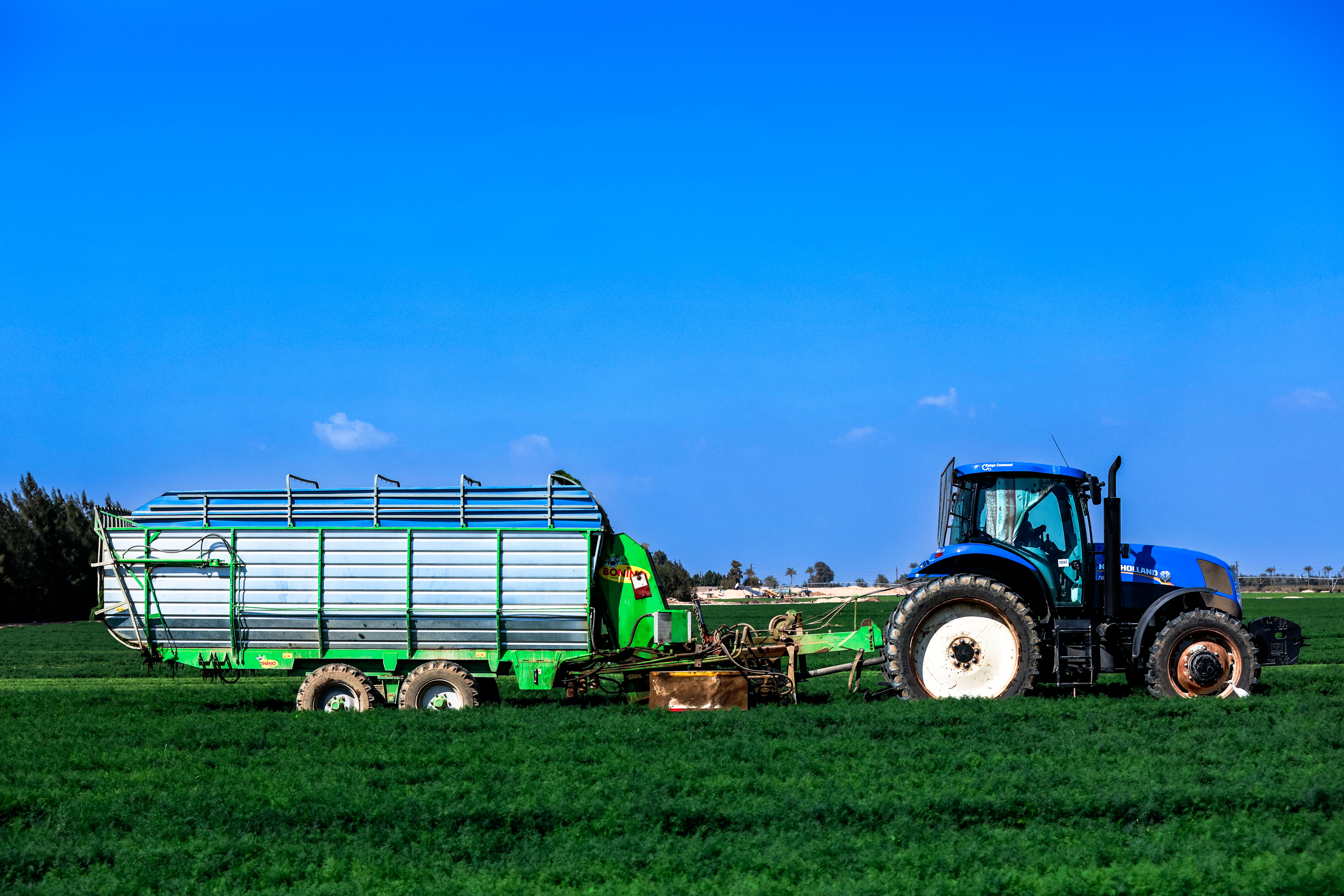 Dina Farms - Premium Dairy & Agriculture Products